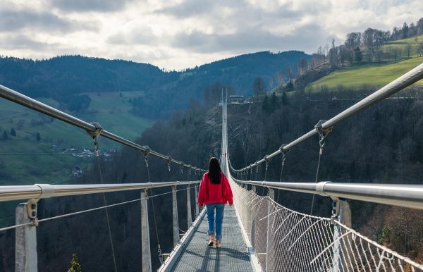 Impressions | Pictures | Videos | Media Library | BLACKFORESTLINE