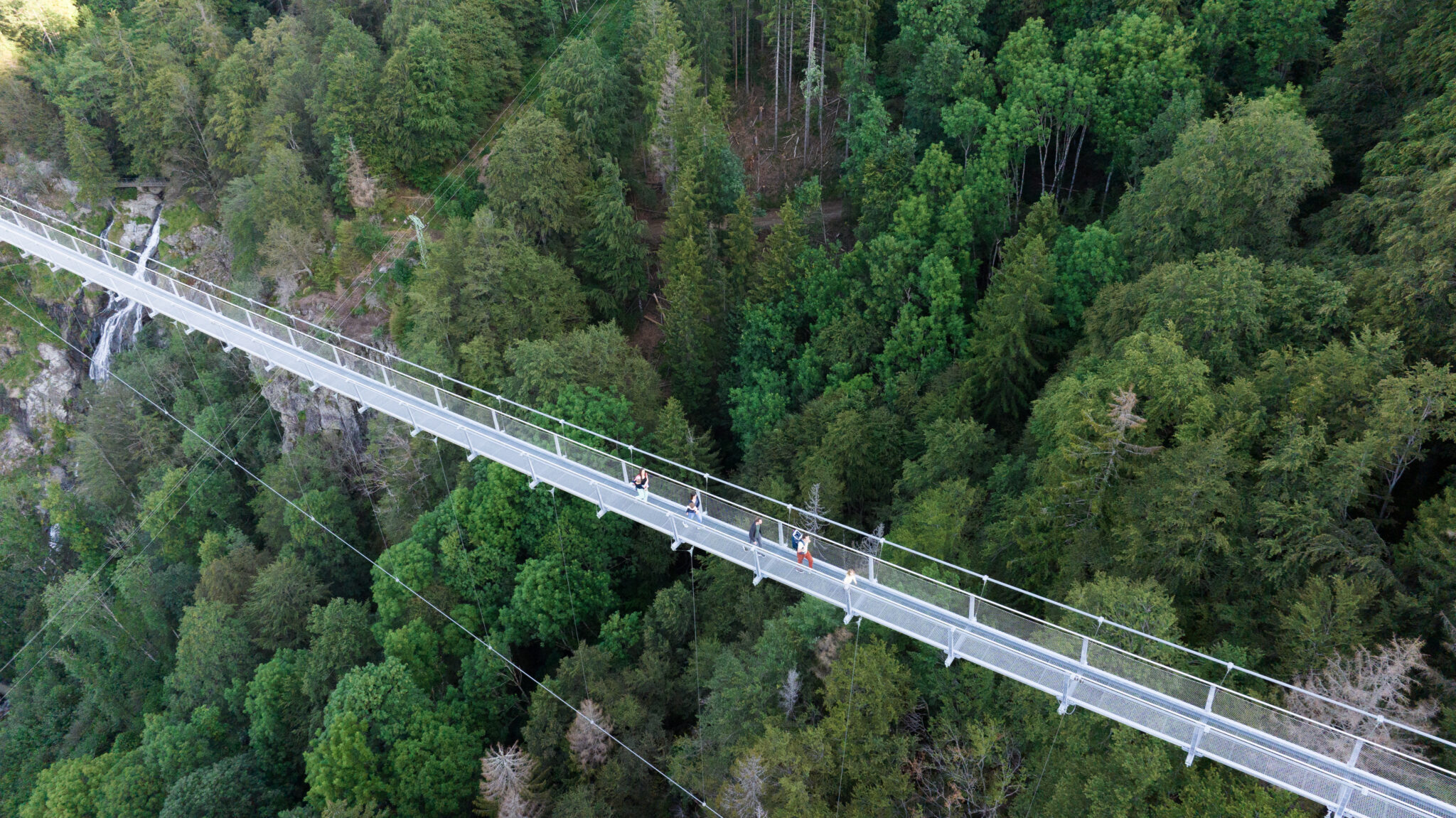 Info for your trip across the bridge | BLACKFORESTLINE